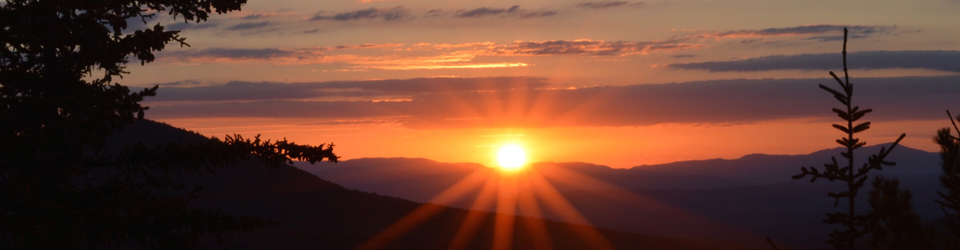 Contact Us – Collaborative Solutions Vermont